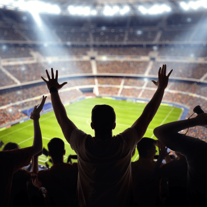 European Championship: An Example of Effective Resource & Project ...