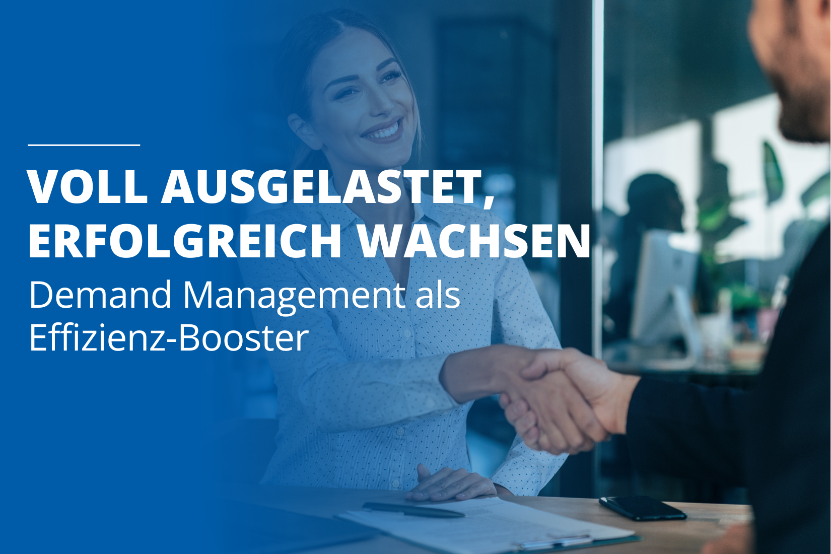 How to successfully manage portfolios with Can Do project management ...